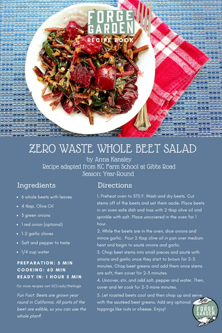Forge Crafted Recipes - Sustainability at SCU - Santa Clara University